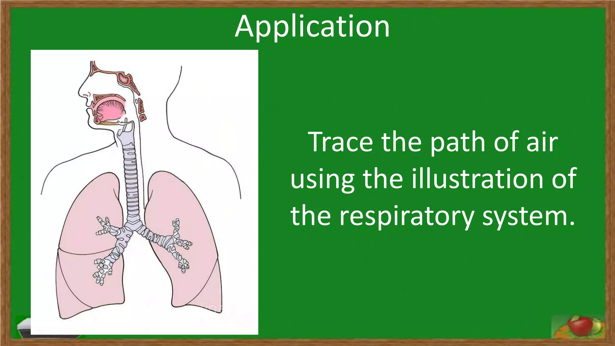 1st science 14 traces the path of air and what happens | PPTX