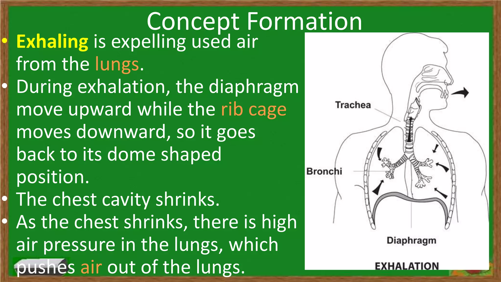 1st science 14 traces the path of air and what happens | PPTX
