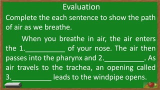 1st science 14 traces the path of air and what happens | PPTX
