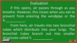 1st science 14 traces the path of air and what happens | PPTX