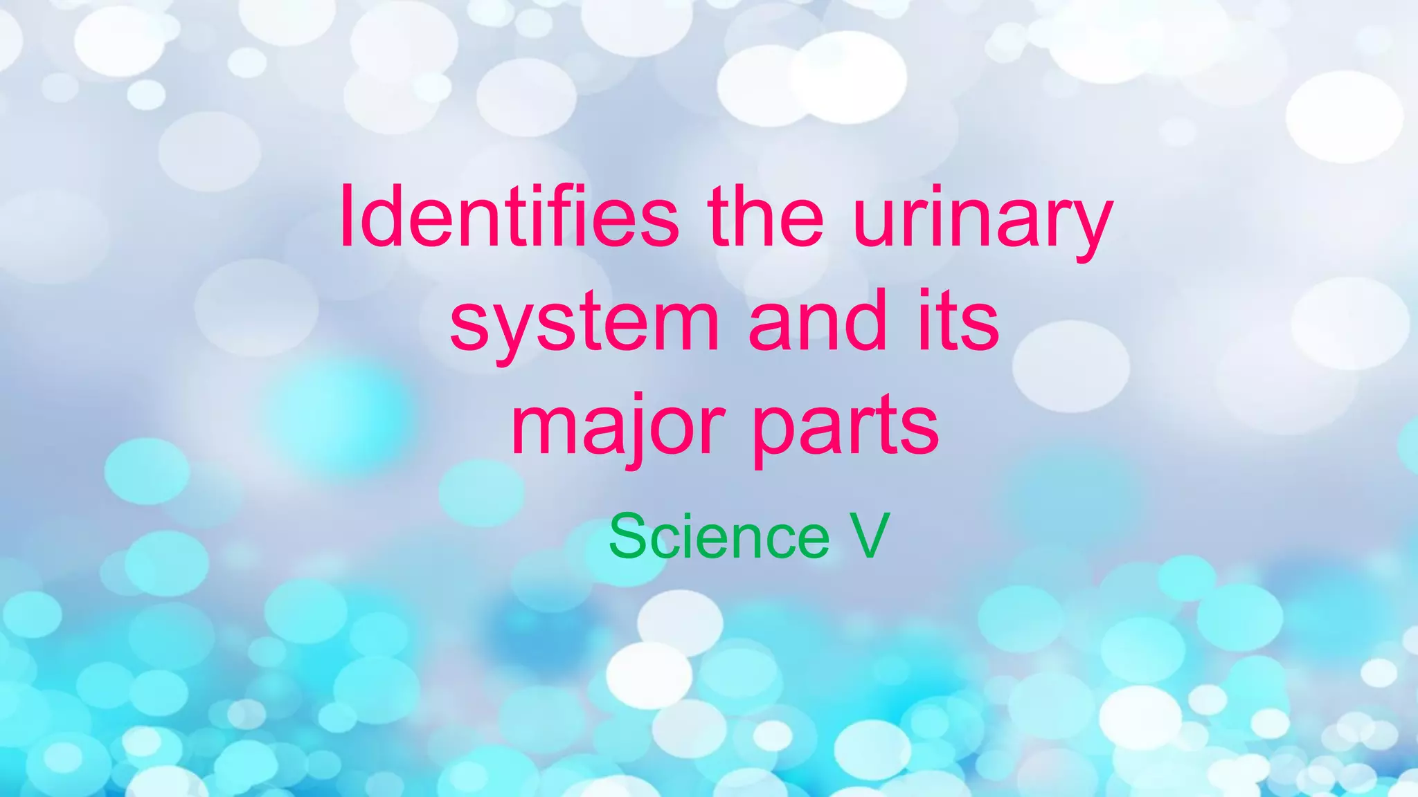 1st science 18 parts of the urinary system | PPT
