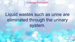 1st science 18 parts of the urinary system | PPT