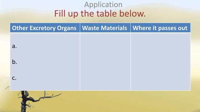 1st science 21 removing other body wastes | PPT