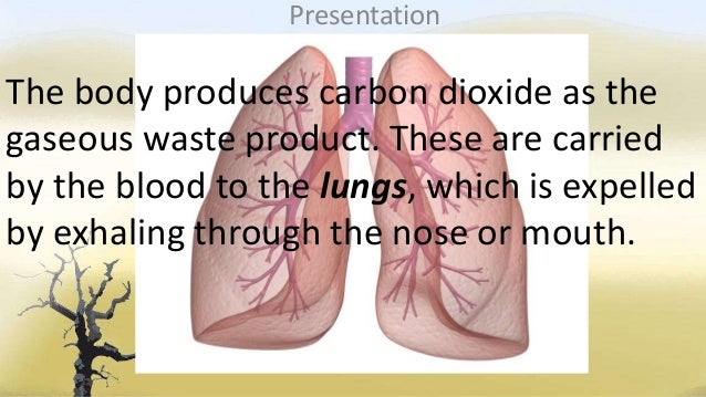 1st science 21 removing other body wastes
