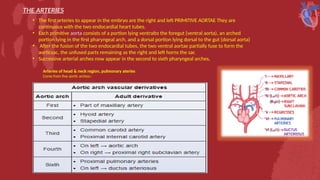 1st ppt developmental anatomy of heart.pptx