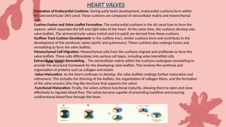 1st ppt developmental anatomy of heart.pptx