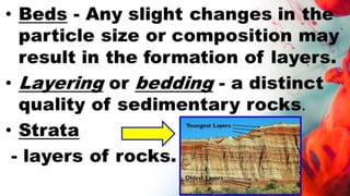 1st qtr - earth and life science - (1) How layers of rocks formed - (2 ...