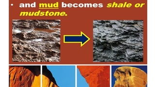 1st qtr - earth and life science - (1) How layers of rocks formed - (2 ...