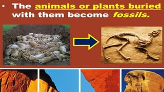 1st qtr - earth and life science - (1) How layers of rocks formed - (2 ...