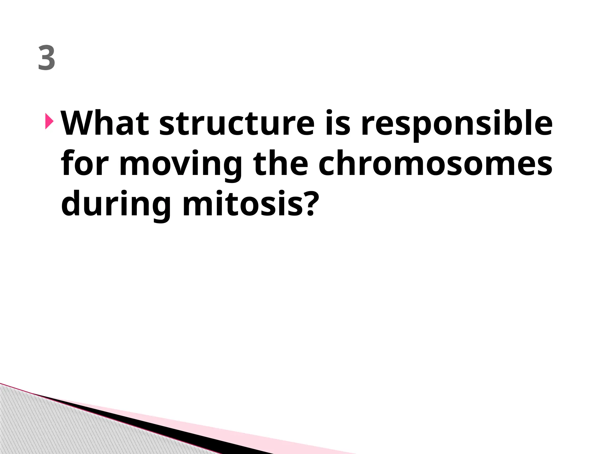 1st quarter Quiz 4.pptx general biology mitosis | PPT