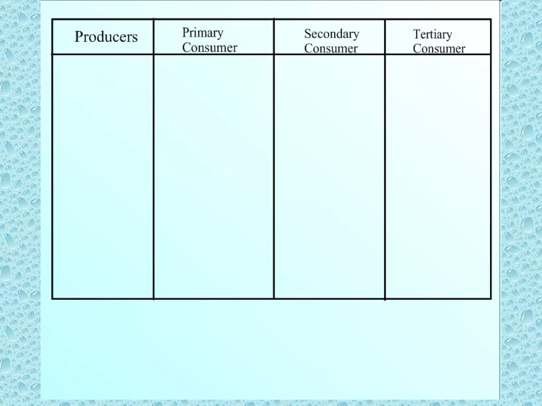 1st relationships & food chains: notes on energy flow: energy webs ...