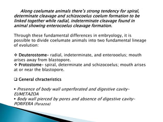Classifiction and Nomenclature of Kingdoms of Life | PPTX