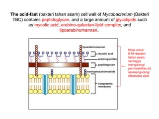 Structure cell bacteria (bakteriologi) .ppt