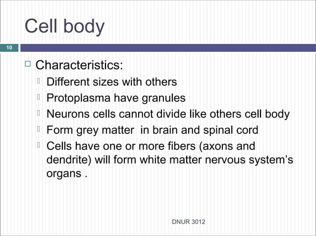 1 structure functions nerve cells | PPT | Brain and Nervous System ...