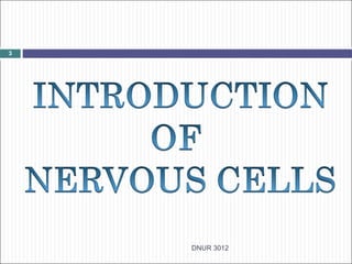 1 structure functions nerve cells | PPT
