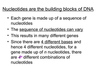 Chapter 20 Molecular Genetics Lesson 1 - Structure of DNA | PPT ...