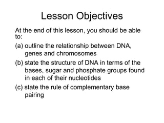 Chapter 20 Molecular Genetics Lesson 1 - Structure of DNA | PPT ...