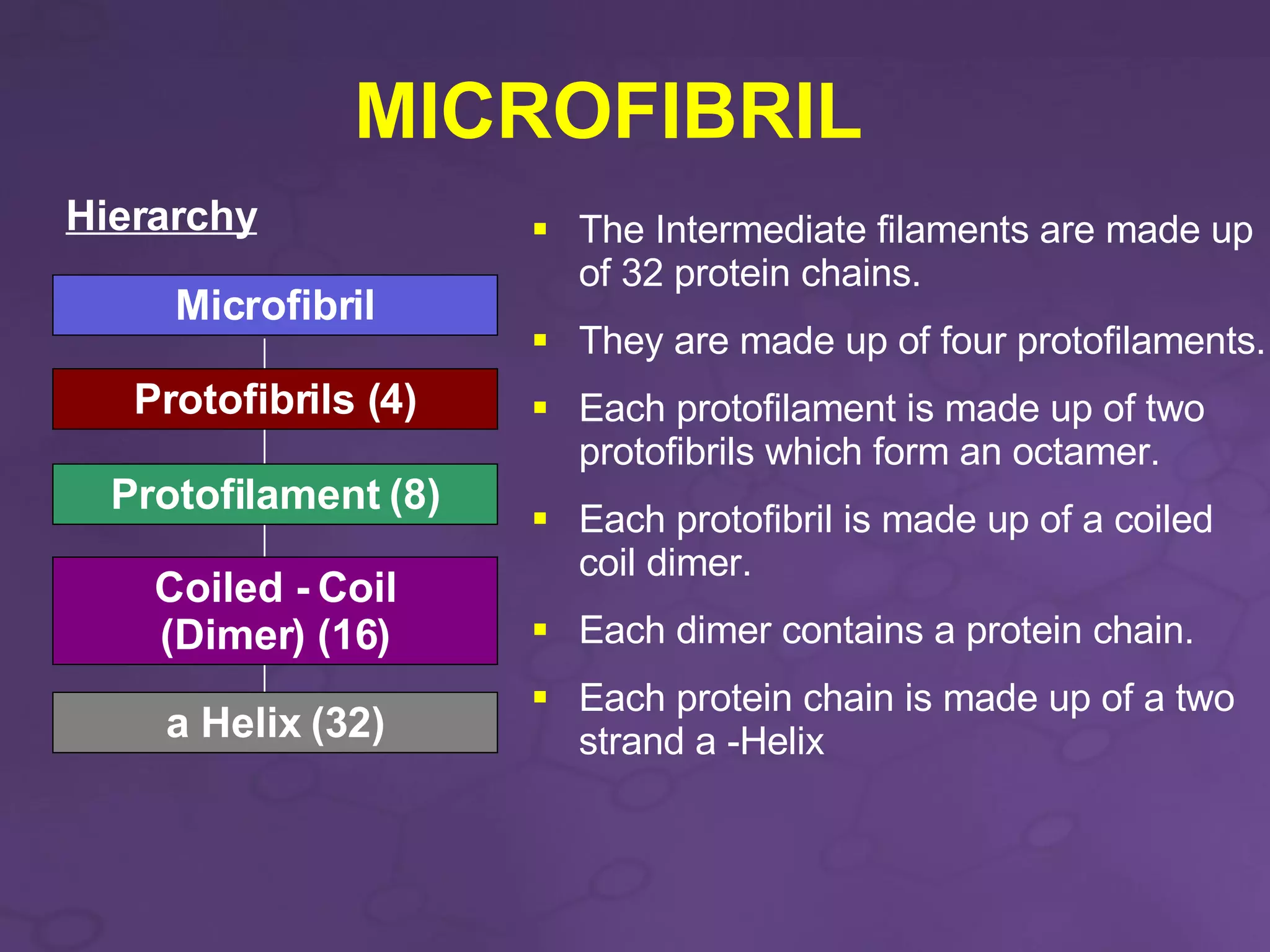 The Structure of Hair | PPT