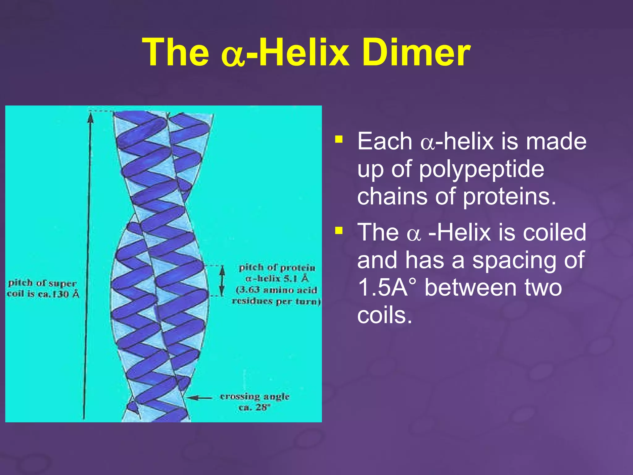 The Structure of Hair | PPT