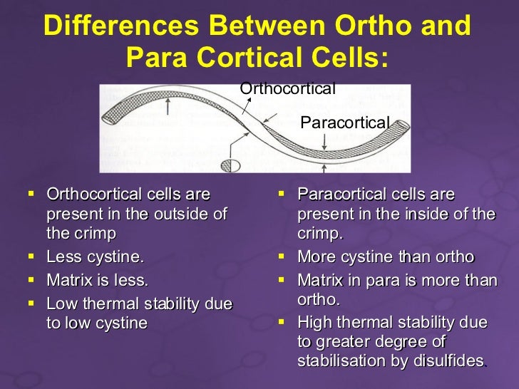 The Structure of Hair