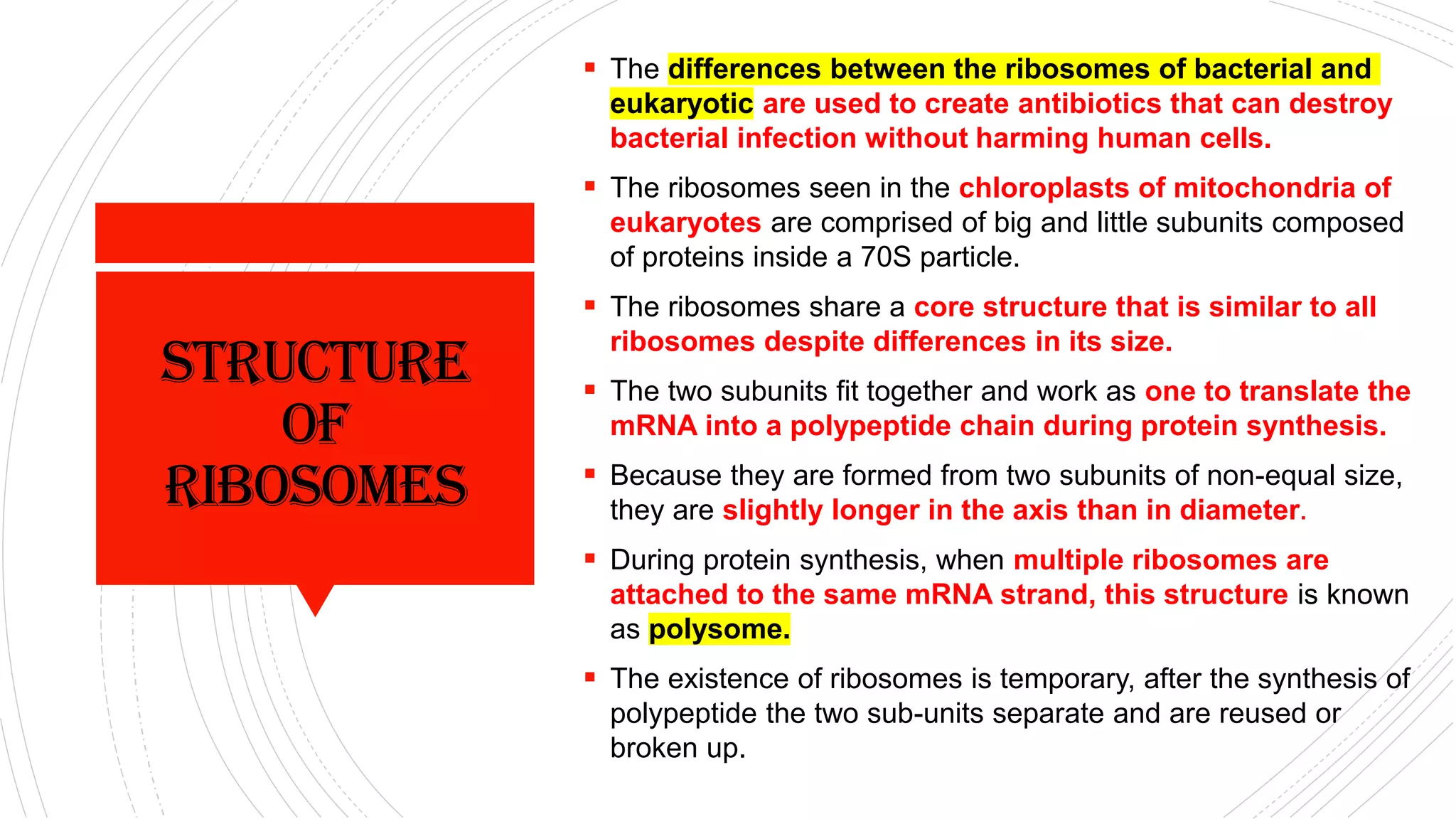 Structure of Ribosomes.pdf