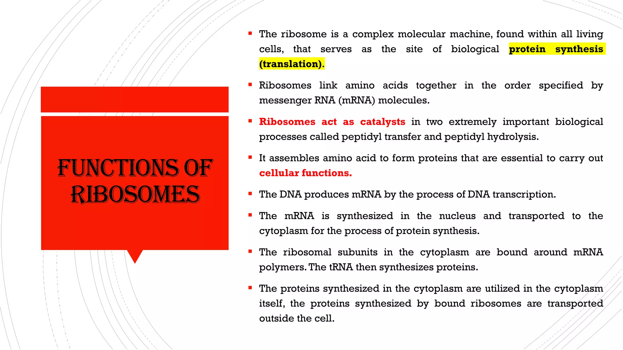Structure of Ribosomes.pdf