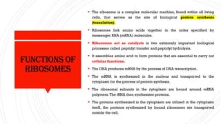 Structure of Ribosomes.pdf