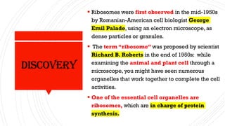 Structure of Ribosomes.pdf