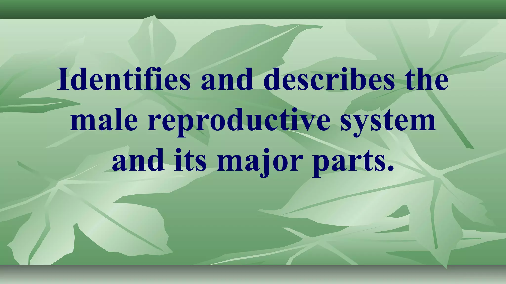 1st science 1 function of male reproductive system | PPT