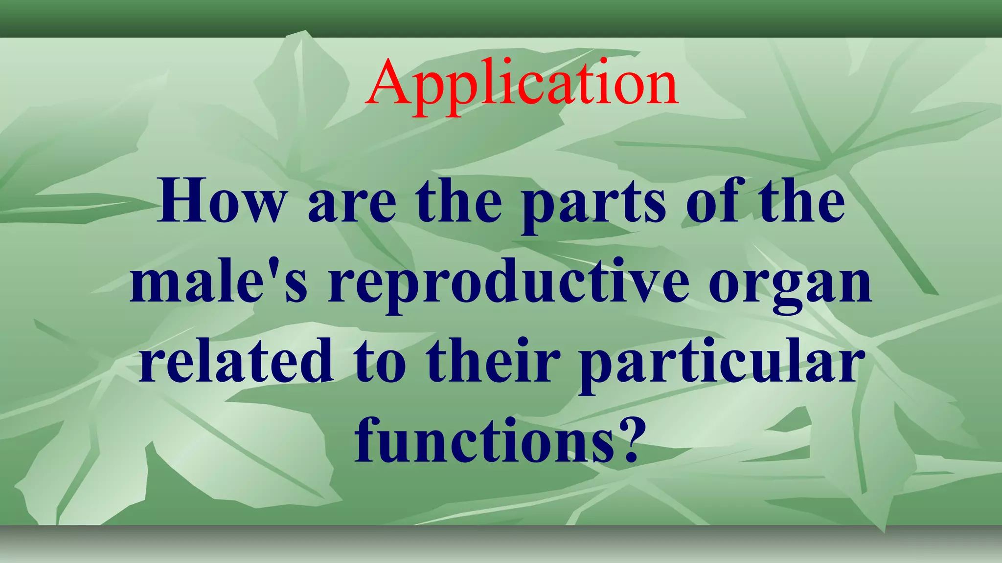 1st science 1 function of male reproductive system | PPT