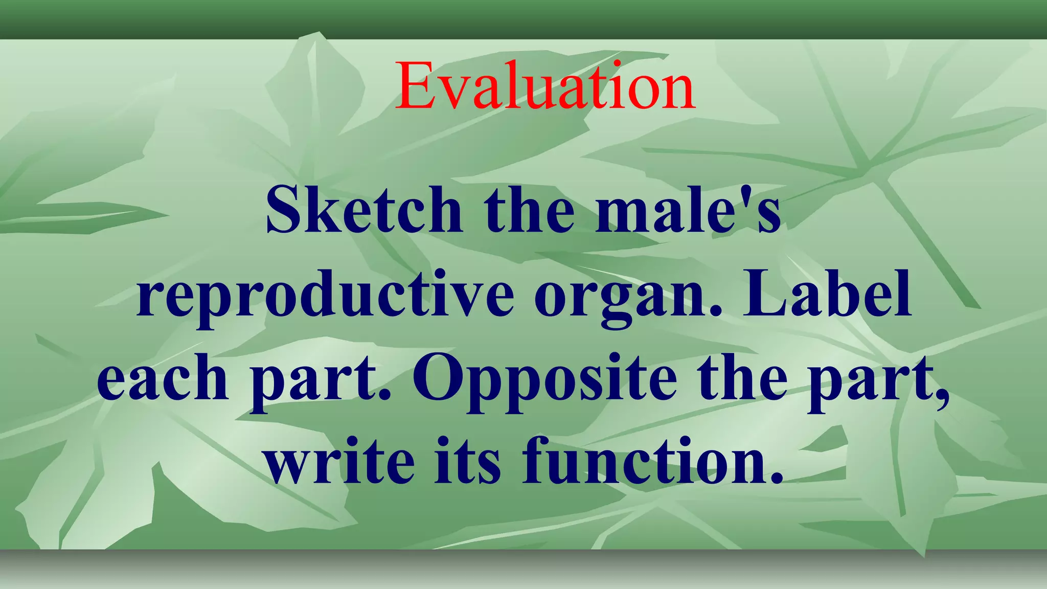 1st science 1 function of male reproductive system | PPT