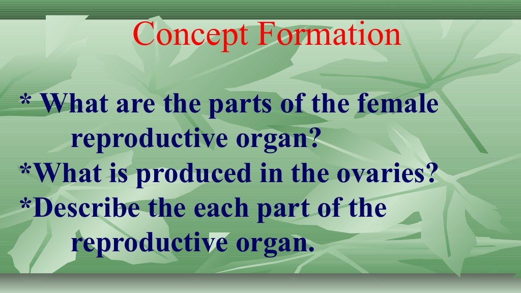 1st Science 2 Function Of Female Reproductive System Riset 1st-science-2-function-of-female-reproductive-system-riset