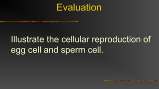 1st science 5 cellular reproduction of sex cells | PPT
