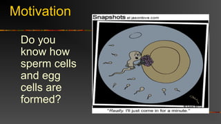 1st science 5 cellular reproduction of sex cells | PPT