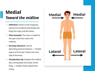 Unit I — Introduction to Anatomical Terms and Organization of the Human ...