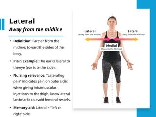 Unit I — Introduction to Anatomical Terms and Organization of the Human ...
