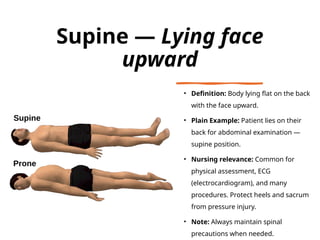 Unit I — Introduction to Anatomical Terms and Organization of the Human ...