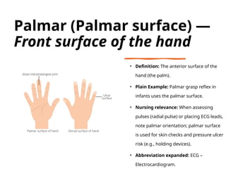 Unit I — Introduction to Anatomical Terms and Organization of the Human ...