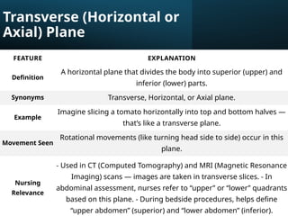 Unit I — Introduction to Anatomical Terms and Organization of the Human ...