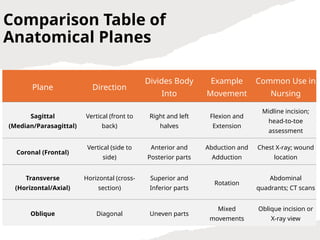 Unit I — Introduction to Anatomical Terms and Organization of the Human ...