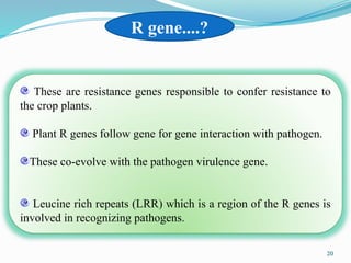 HYPERSENSITIVE RESPONSE IN PLANTS AGAINST THE PATHOGENS | PPTX