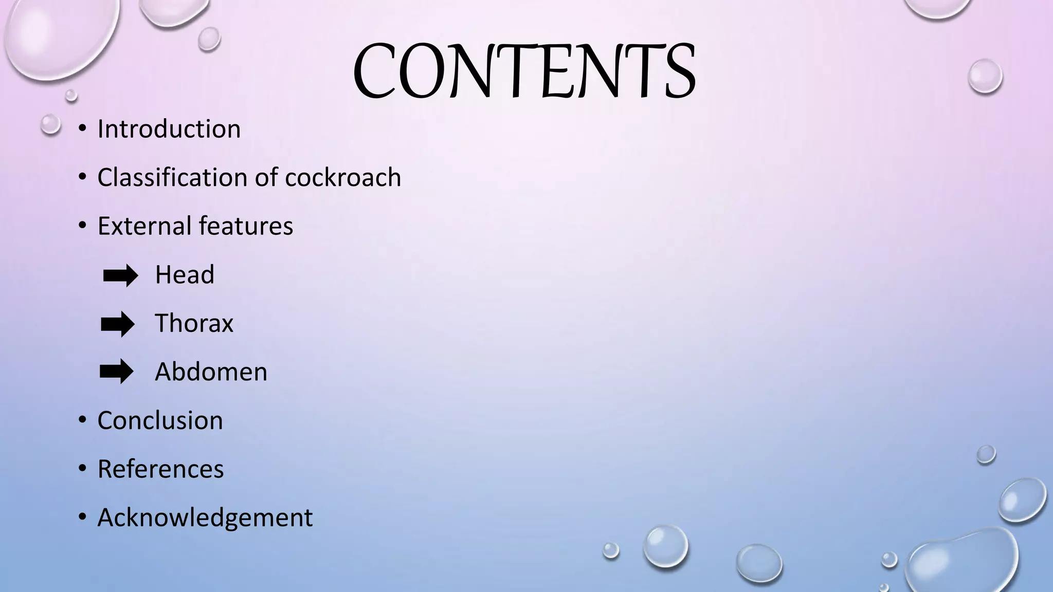 External morphology of cockroach | PPTX