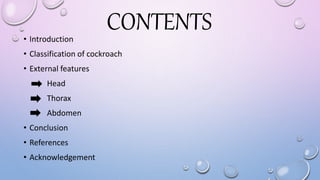 External morphology of cockroach | PPTX | Biological Sciences | Science