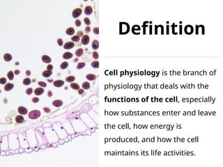 Unit I — General Physiology: Basic Concepts | PPTX
