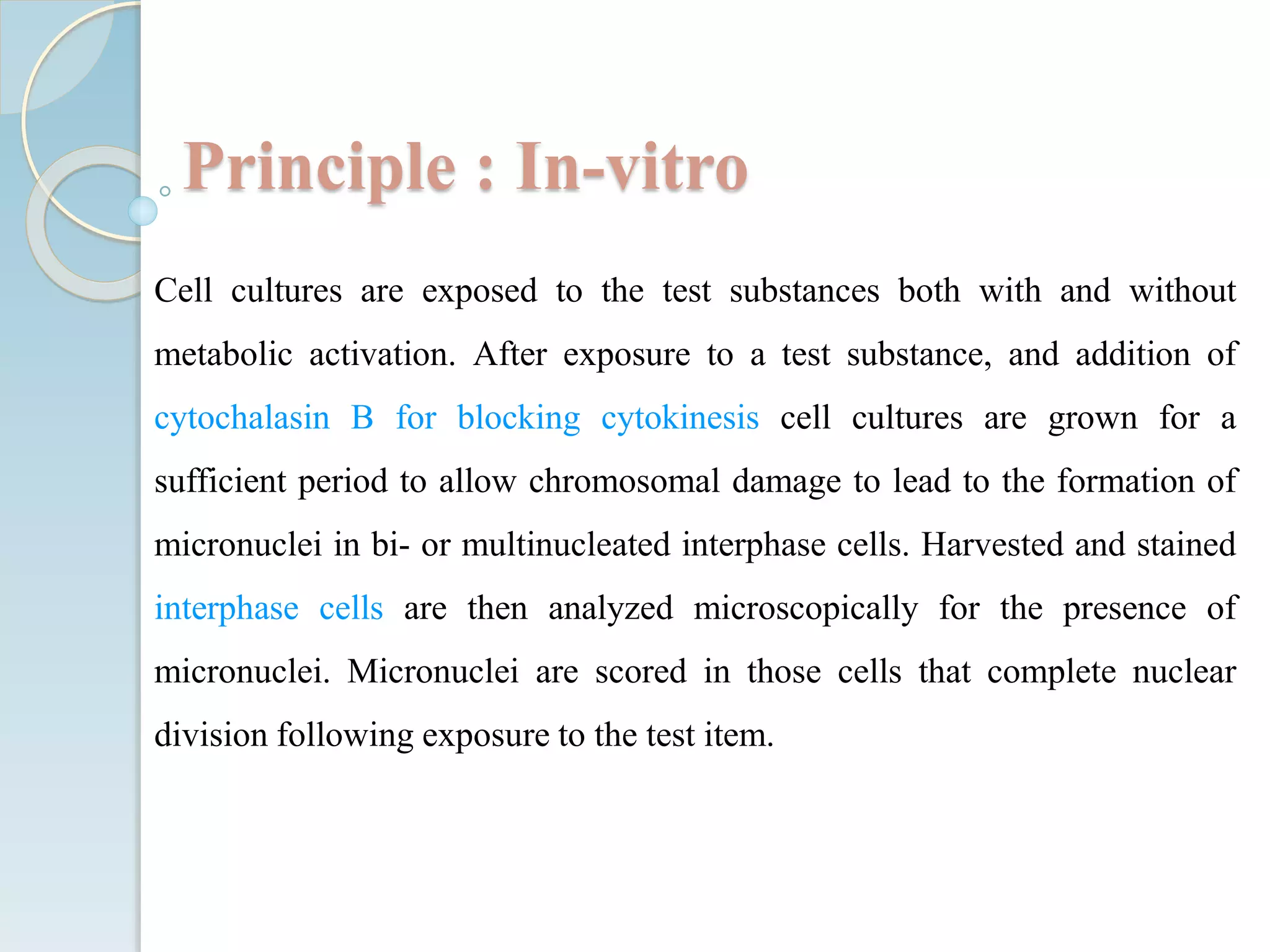 Micronucleus Assay | PPTX
