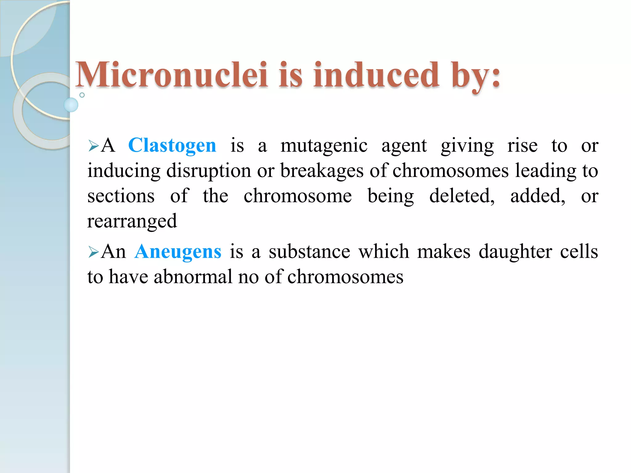 Micronucleus Assay | PPTX