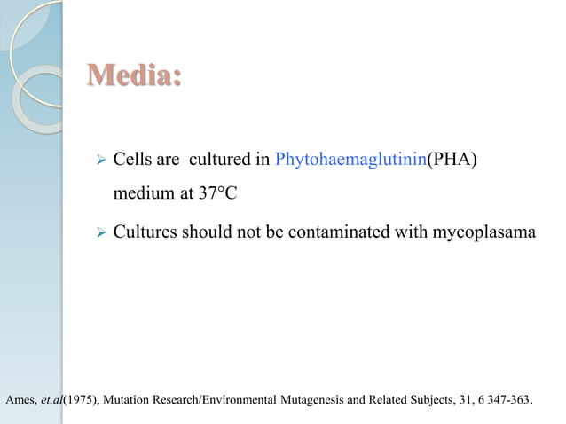 Micronucleus Assay | PPTX | Genetics | Science