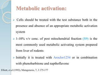 Micronucleus Assay | PPTX