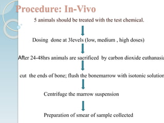 Micronucleus Assay | PPTX