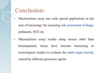 Micronucleus Assay | PPTX